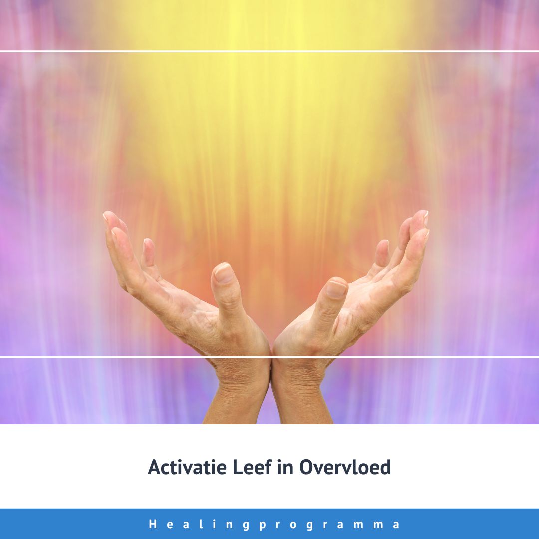 Activatie Leef in Overvloed - Walking my Revolution